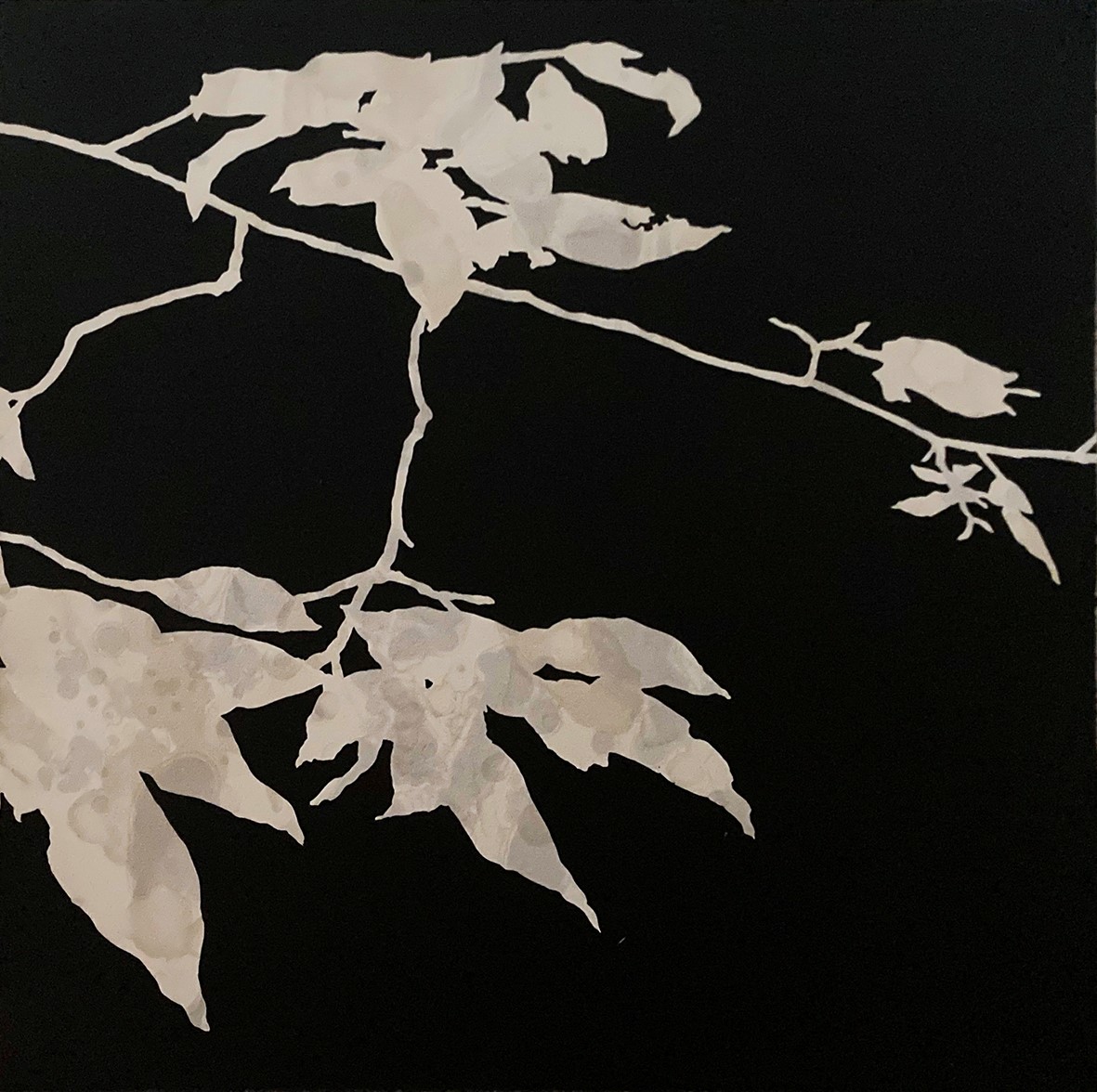 Hideki Kondo – ARTROOT